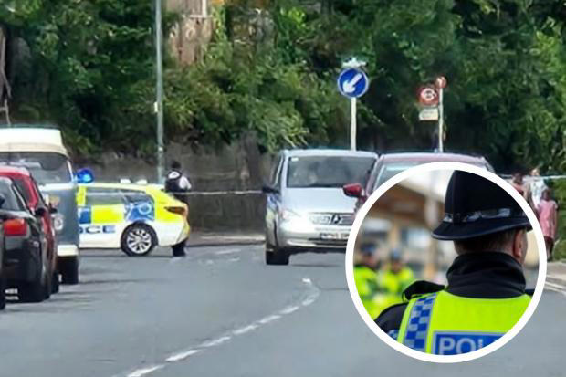Man arrested after car crashes into house in Belvedere