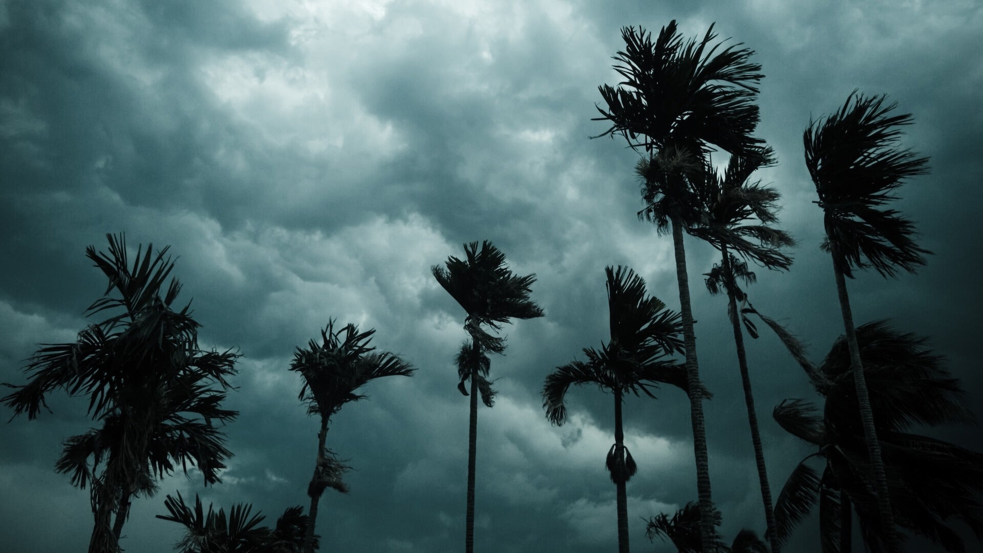 Weather Words: Potential Tropical Cyclone