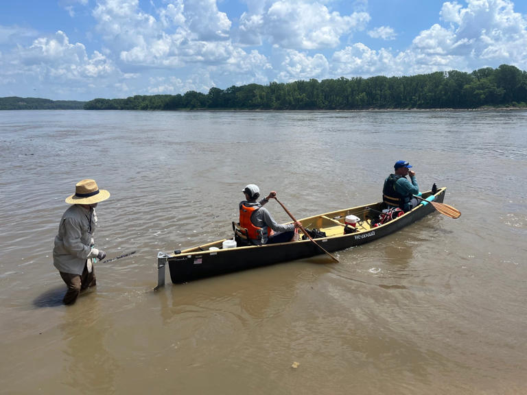 'Let's not start small': John and Rene Imming compete in 340-mile river ...
