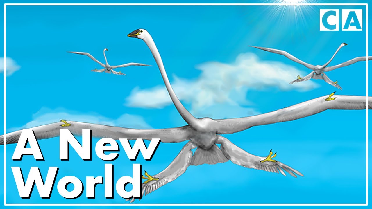 More Bird Evolution on Serina – Part II of the Epic