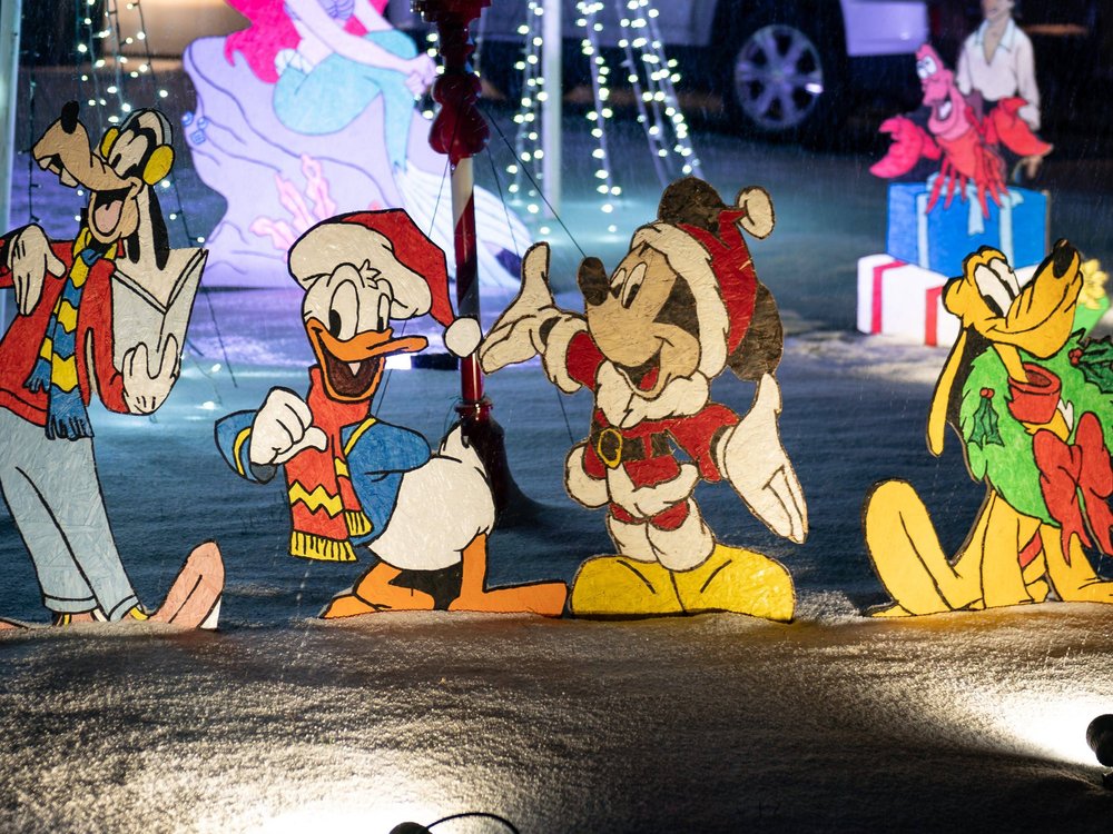 The Born Loser by Art and Chip Sansom