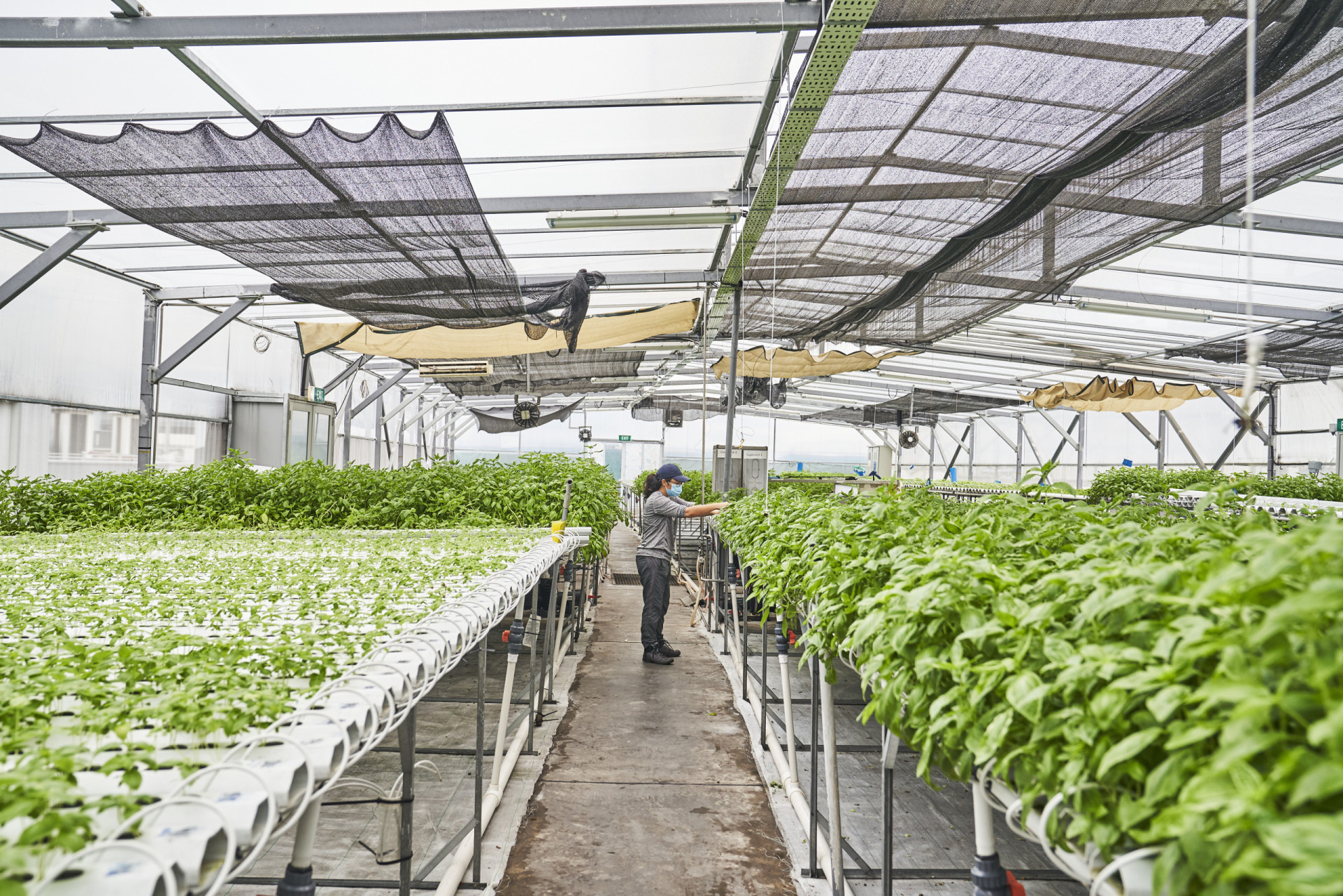 16 Apps That Help Manage Multiple Properties