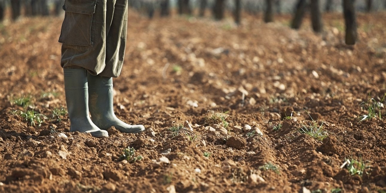 ΟΠΕΚΕΠΕ: Πραγματοποιήθηκε η πρώτη πληρωμή ενισχύσεως σε παραγωγούς υπό ...