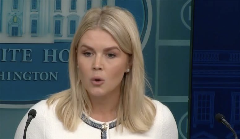 'Spin wildly': MSNBC hosts blows hole in Leavitt's defense of Trump ...