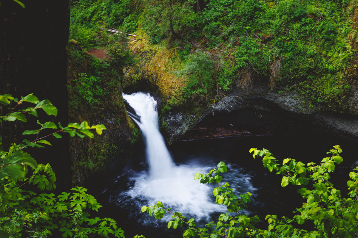 1 Hike, 8+ Waterfalls—Do This Hike Outside of Portland!