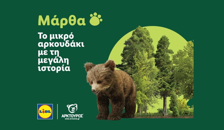 Η Lidl Ελλάς στήριξε την επιτυχή επανένταξη της Μάρθας στη φύση, σε ...