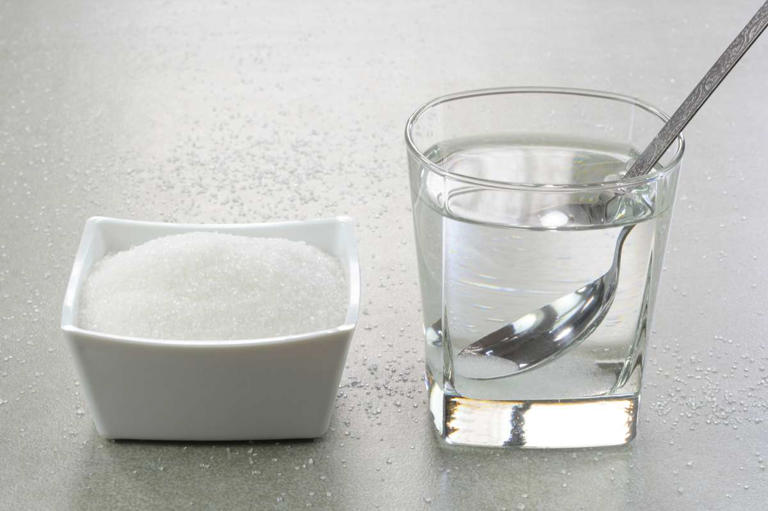 Can Hummingbirds Survive Only on Sugar Water in the Feeder? Experts ...