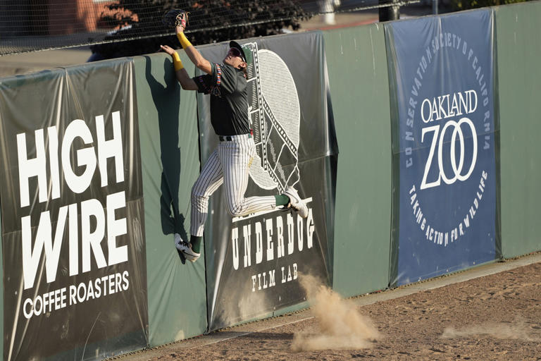 Ballers outfielder Lou Helmig represents deep baseball history in Germany