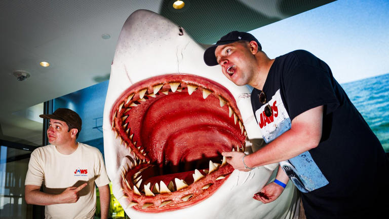 The "Jaws" economy on Martha's Vineyard