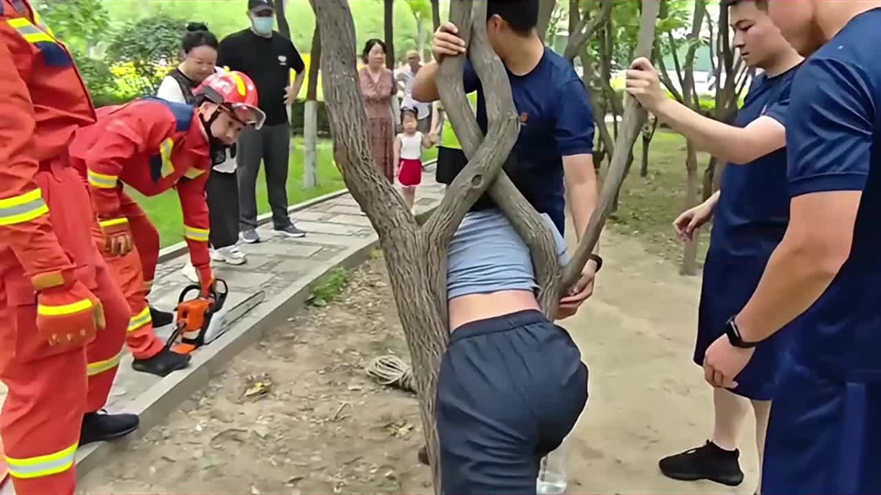 Firefighters forced to push woman through tree after she gets stuck in ...