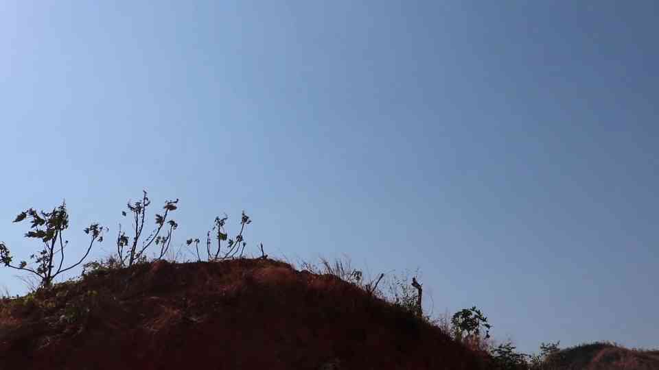 Digging Deep: The Wild Story Behind an Underground Cave Build