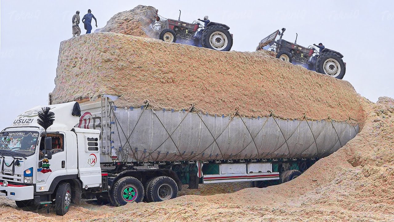 Affordable methods for Pakistan to manage large quantities of sugarcane ...