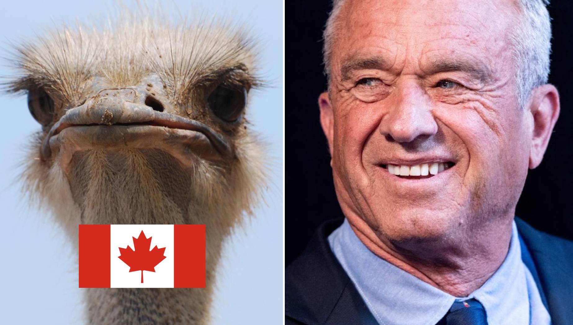 5 Pickup Trucks Getting Major Engine Upgrades