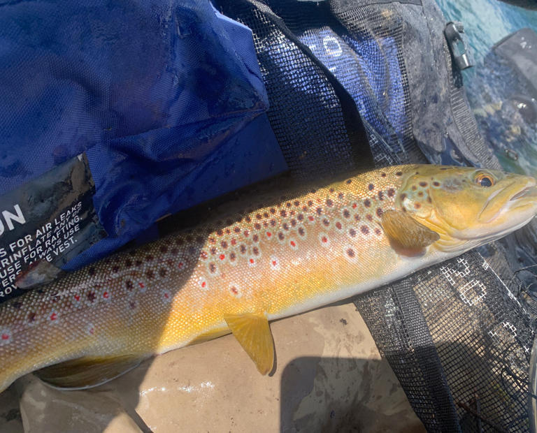 Linton Lake home to rare trout and one of Oregon’s tallest waterfalls
