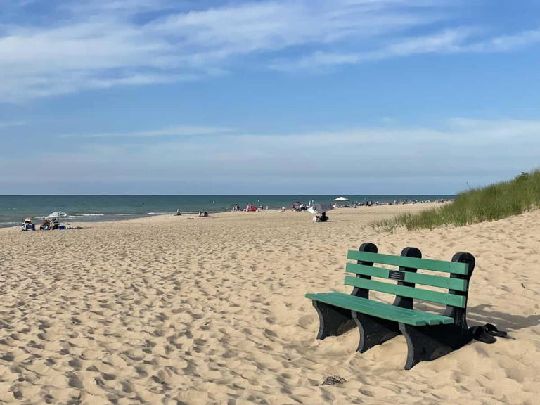 From Beaches to Stargazing: 14 FAB Things to Do in Indiana Dunes ...