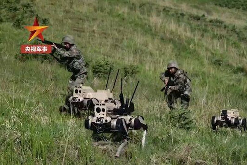 China's sinister 'robot wolf' military drones seen on prowl for first time