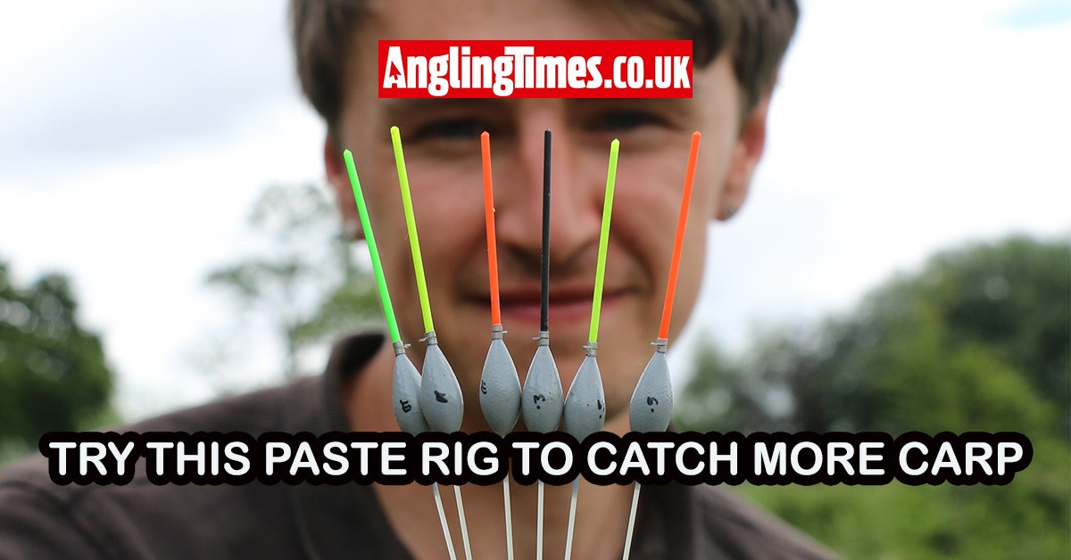 Paste rig to catch more carp on the pole