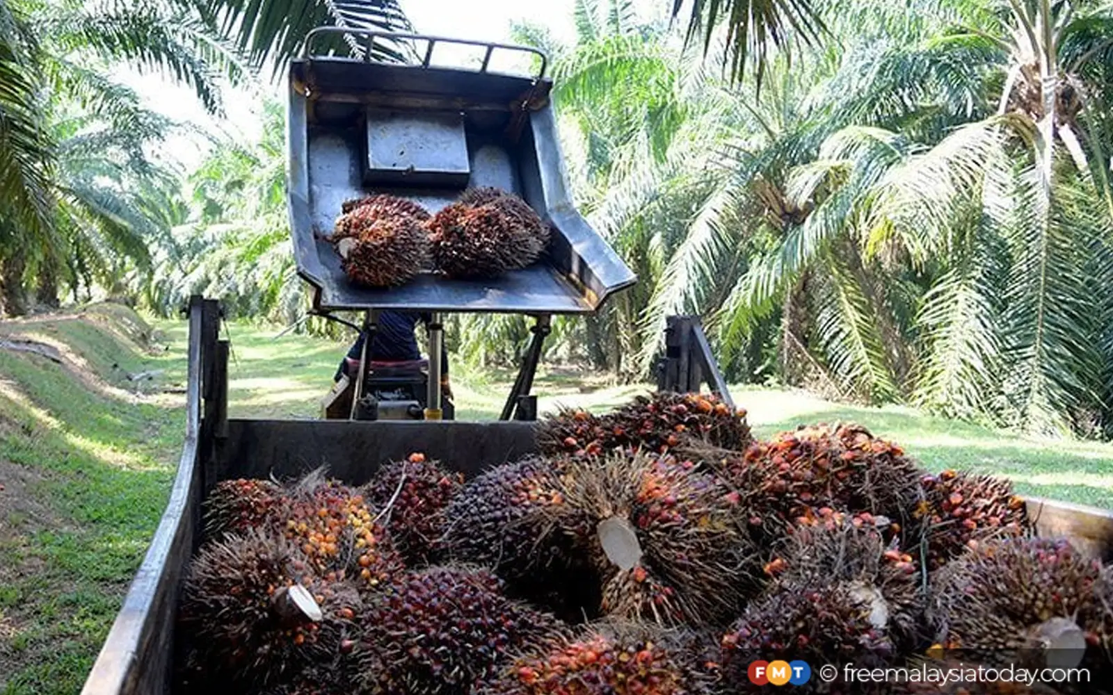 Palm oil hits 2-week high on increased Malaysian exports