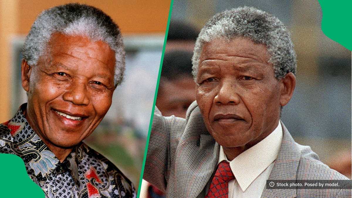 "Father of the nation": Nelson Mandela's family tree shows incredible ...
