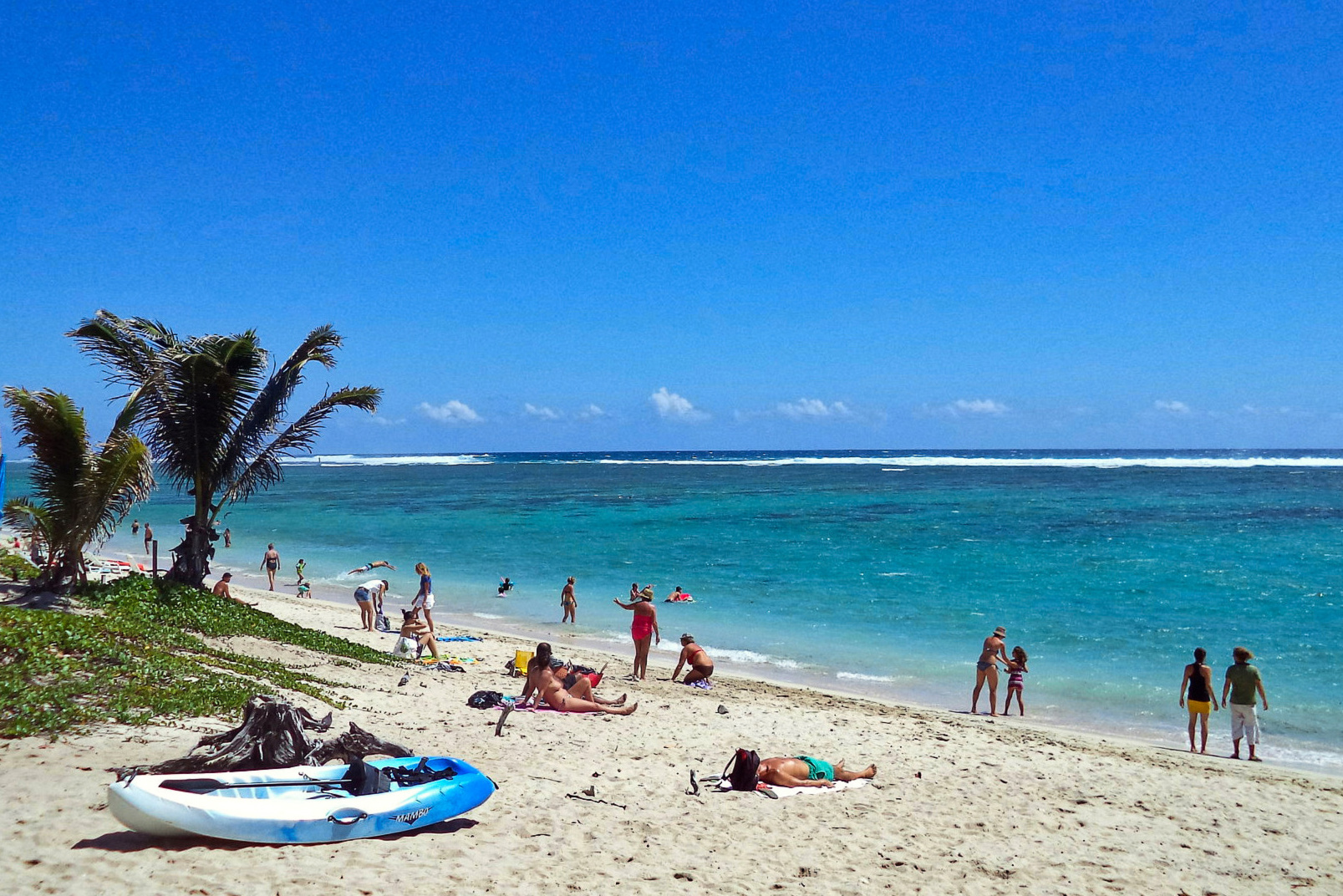 Réunion Island Becomes Hub of Shark Attack Science After Deadly Attacks