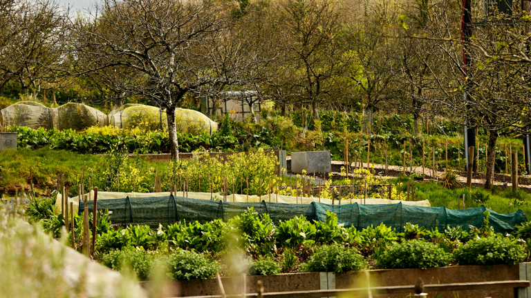Fowlescombe Farm: a luxurious retreat rooted in nature