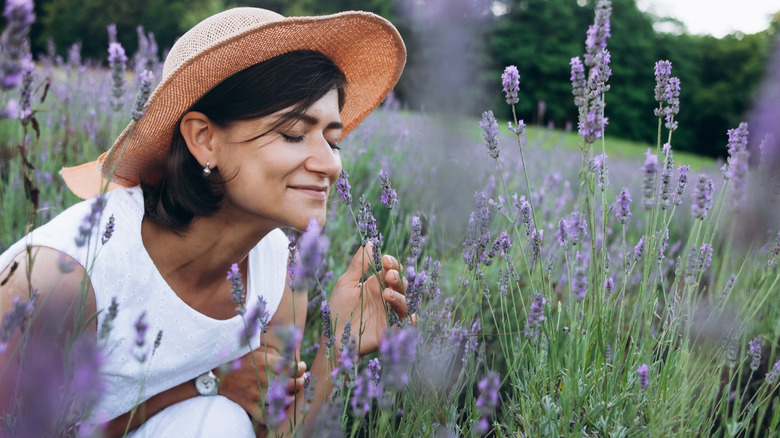 How To Repurpose Eggshells For Thriving Lavender Plants