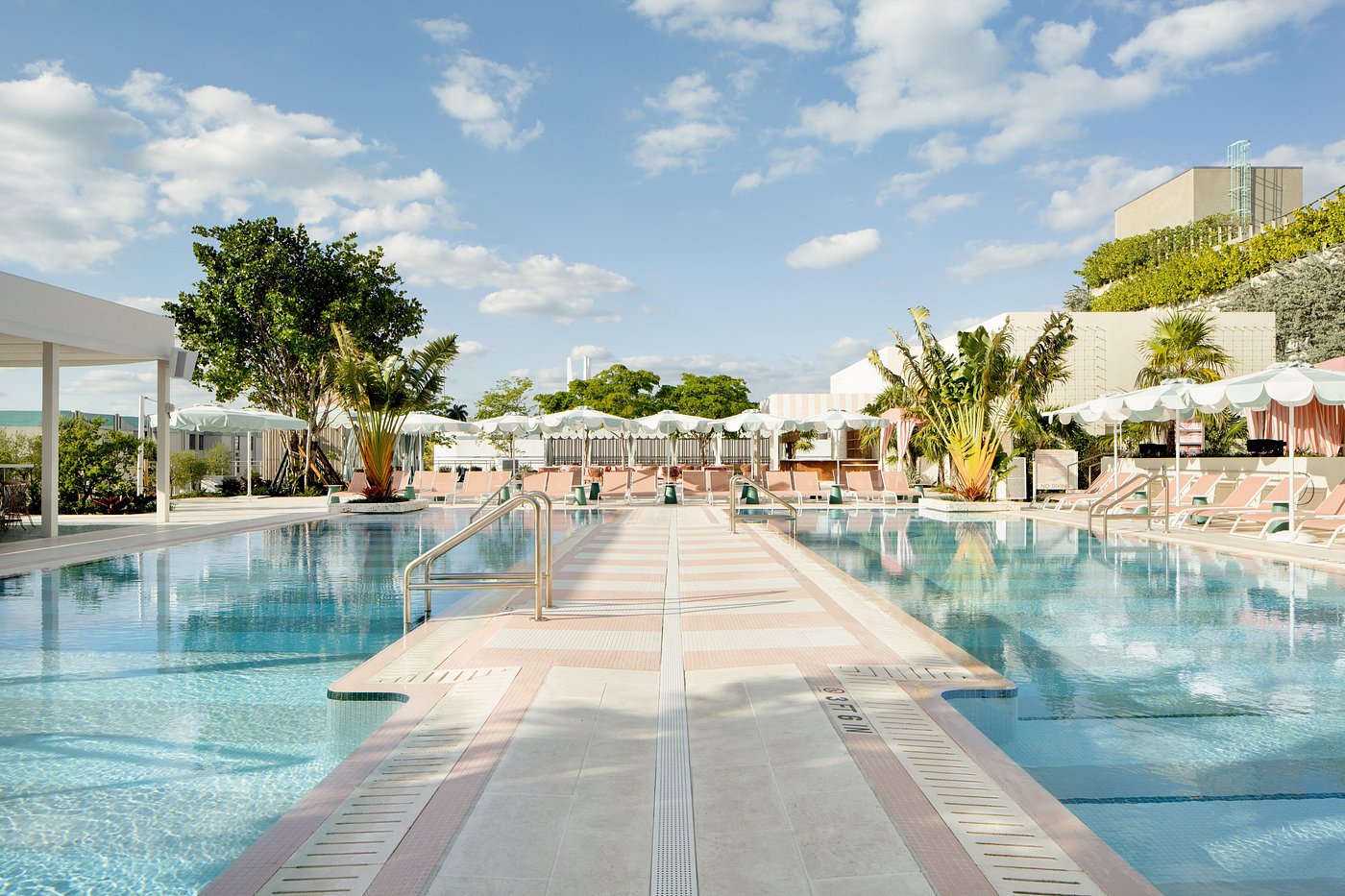 Dog-Friendly Hotels That Make Traveling a Breeze