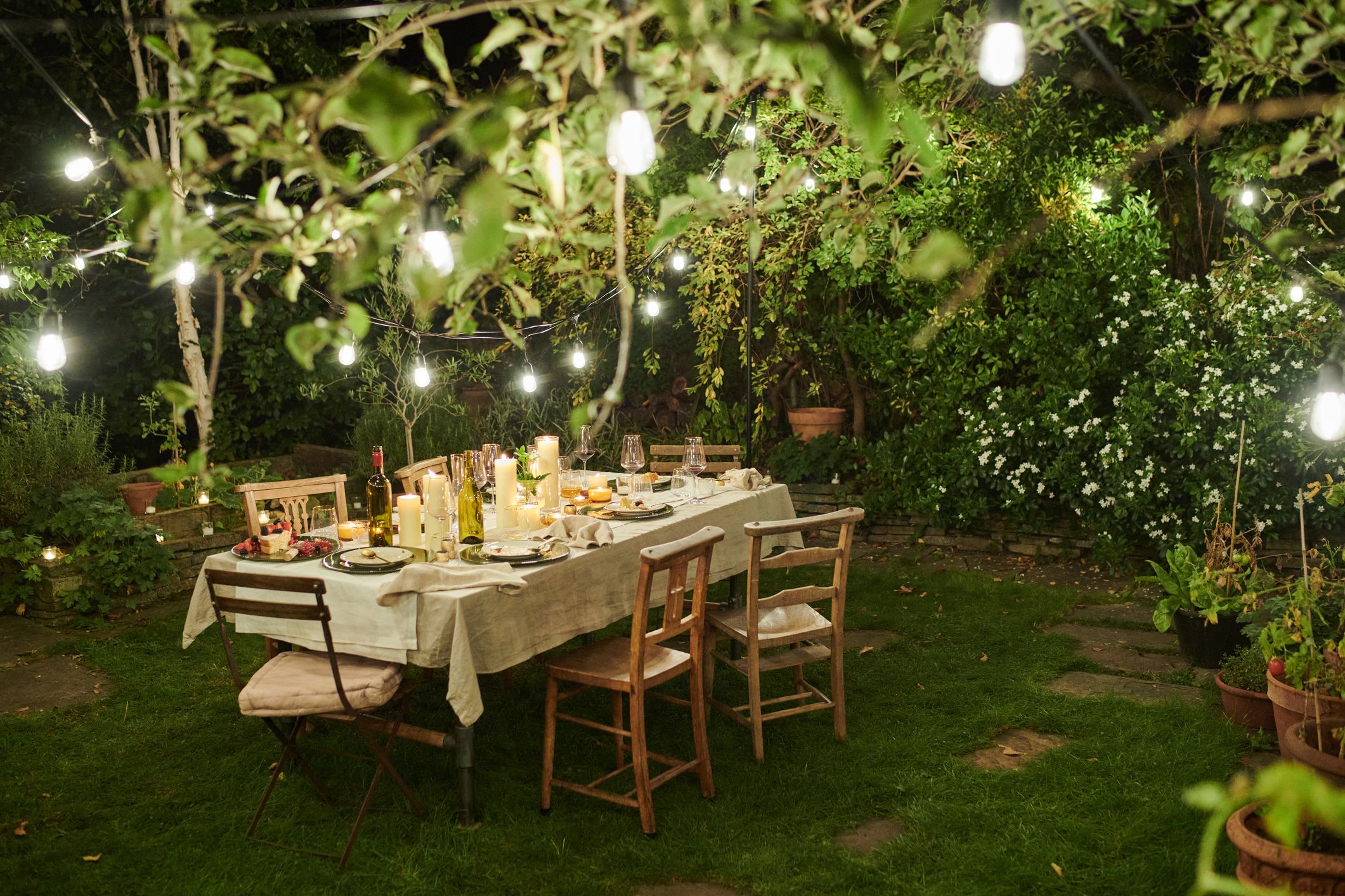 10 Night-Blooming Flowers That Turn Your Garden into a Moonlit Escape