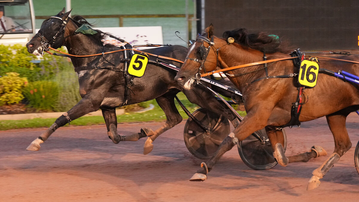 Arrivée du quinté du vendredi 18 juillet à Cabourg : Just A Midi vise juste