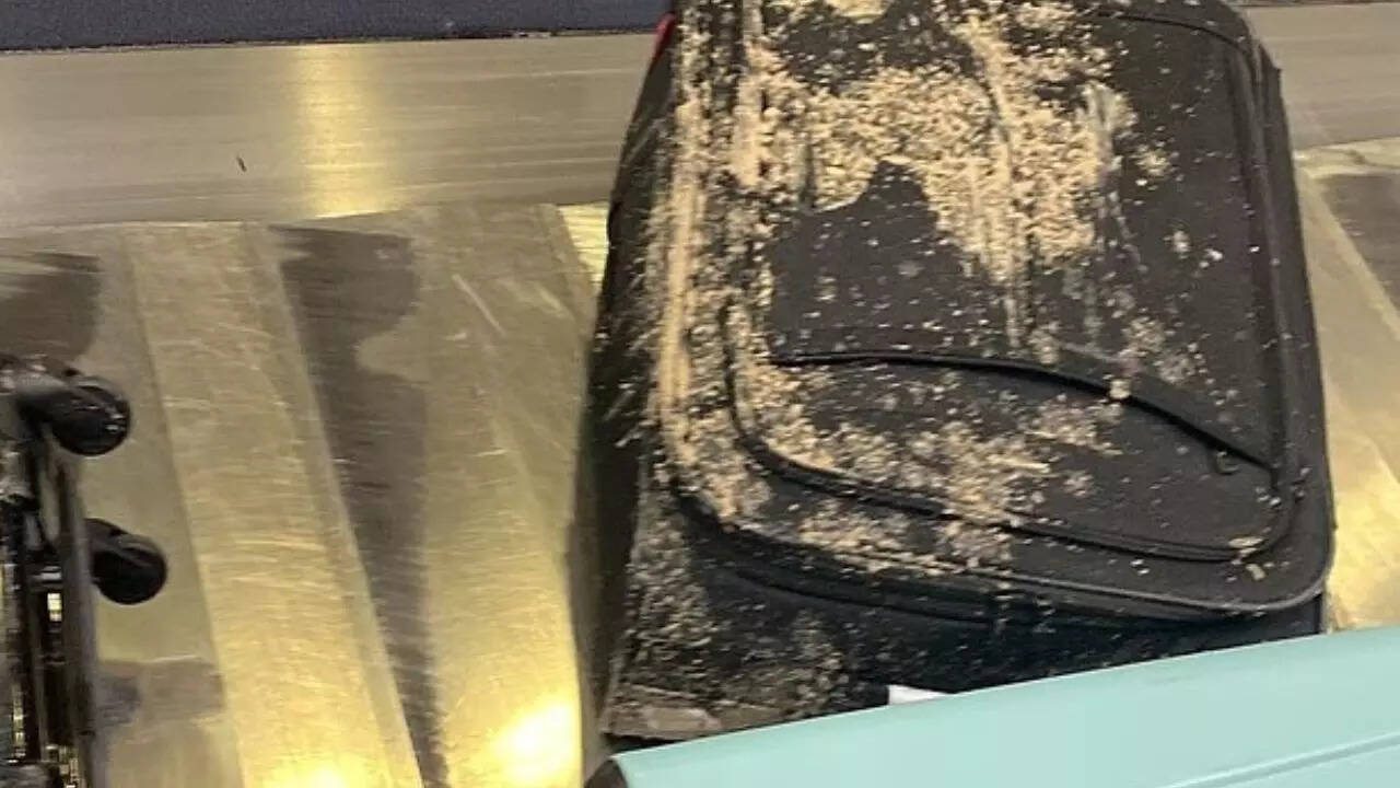 Luggage covered in poop? Virgin Atlantic says it did not come from ...