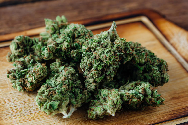 Local Rep. hopeful legal weed in PA getting closer to becoming a reality