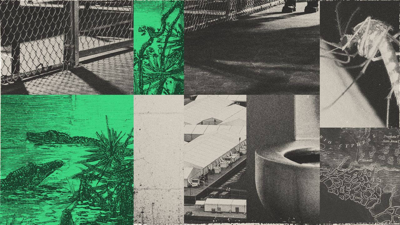 Insects and sewer water: the alleged conditions at 'Alligator Alcatraz'