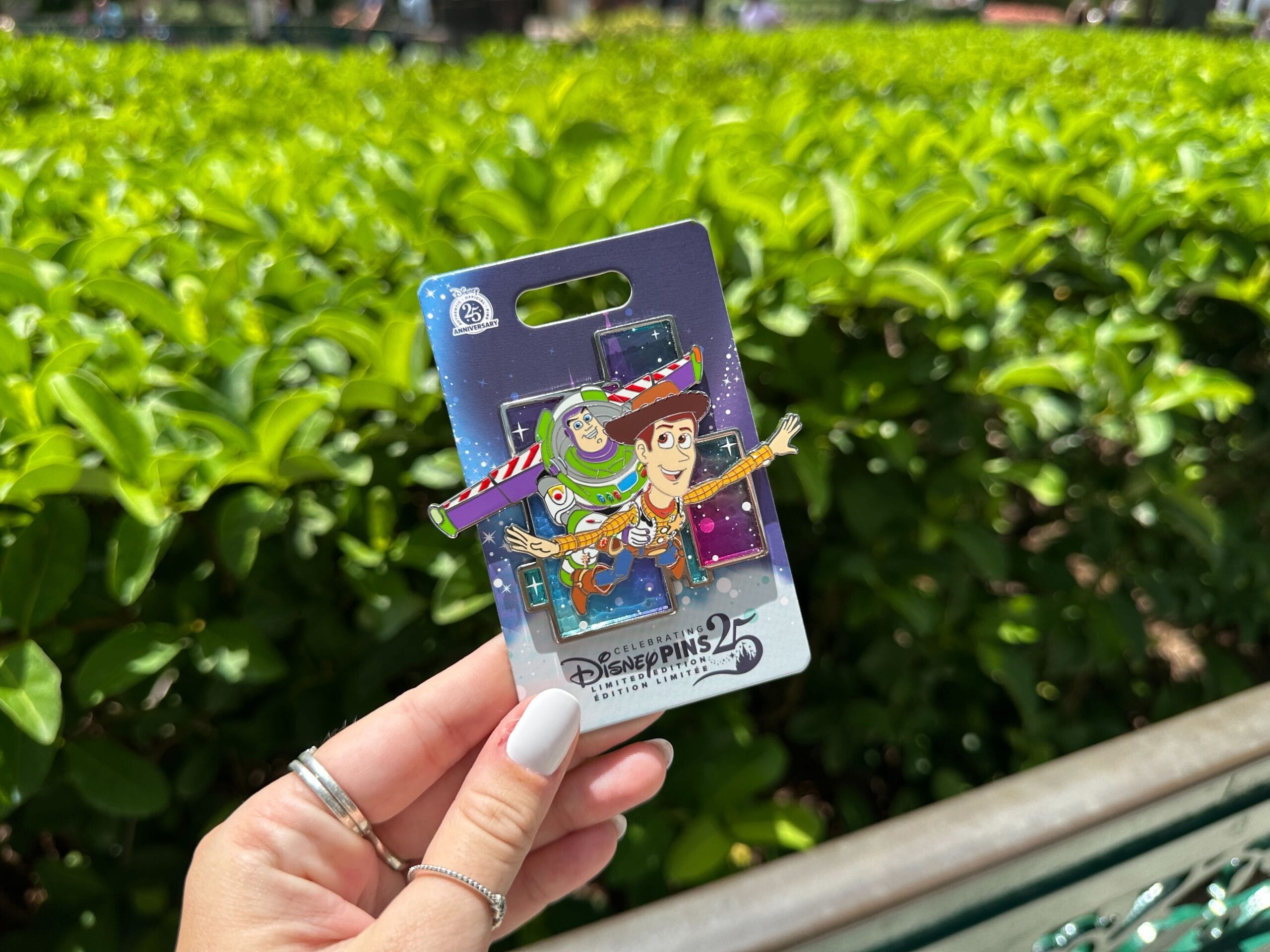 Disney Pin Community Complains of Line Cutting, Resellers, Long Lines ...