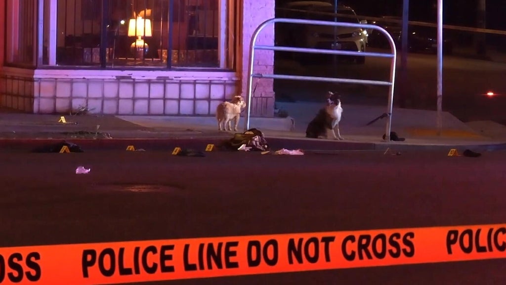 Man charged with murder in shooting of San Leandro woman walking dog