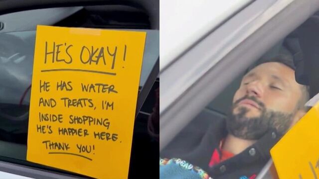 This man was left in a car by his partner but don’t worry - 'he’s okay’