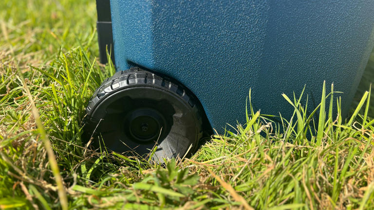 Coleman Xtreme Cooler Box 47L review: Chills like a pro, rolls like a dream