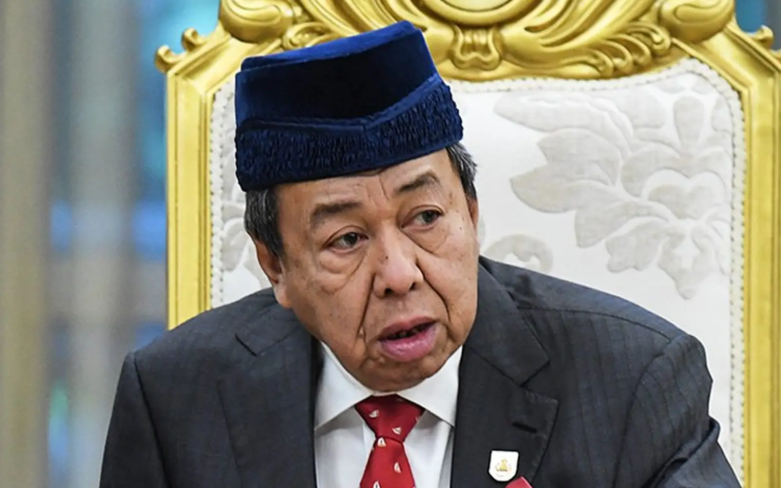 Selangor sultan calls for Malay, Muslim unity