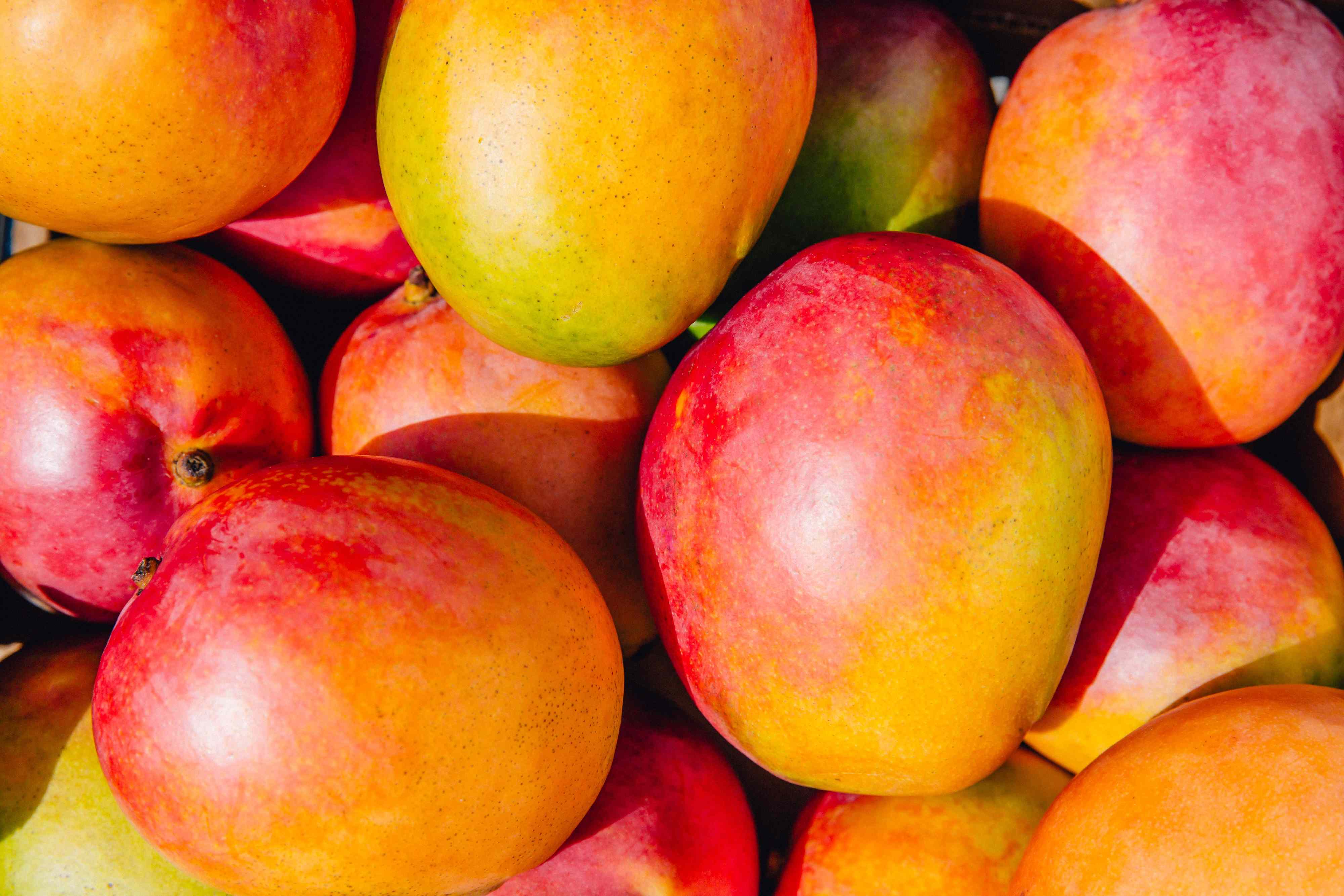 What happens to your body when you eat mangoes regularly