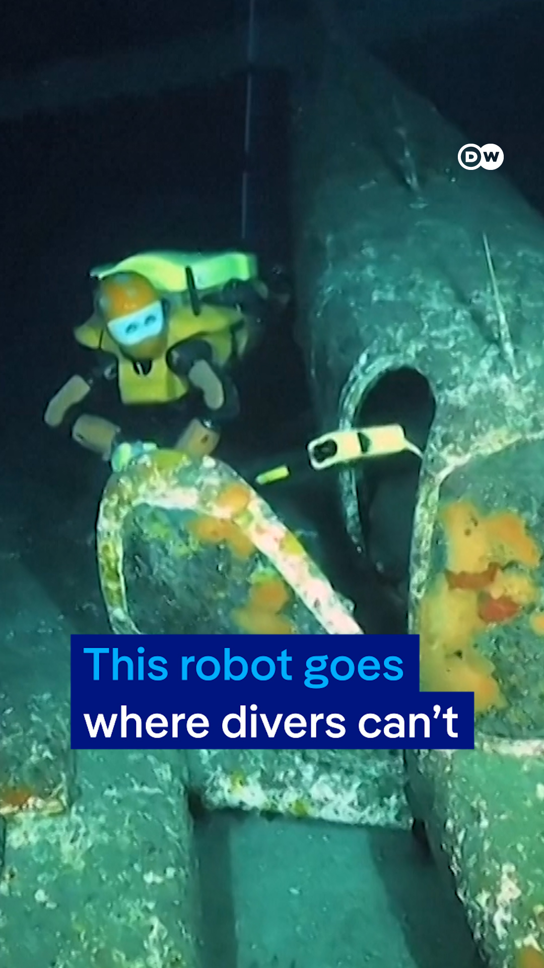 This robot goes where divers can’t