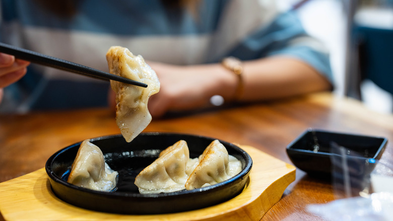 The Best Frozen Dumplings Are A Brand You Probably Haven't Tried Before