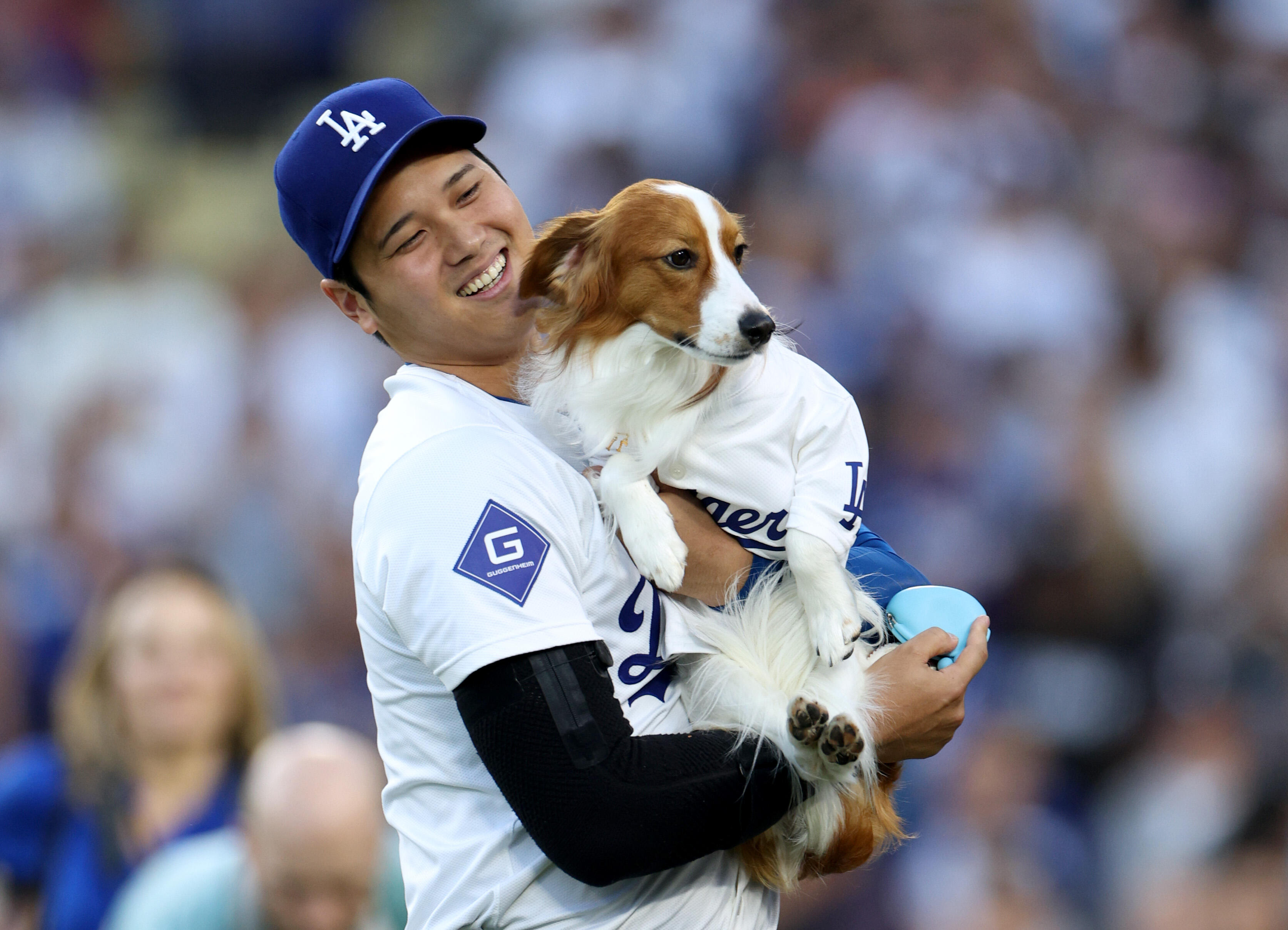 Shohei Ohtani Pens Children's Book About His Dog Decoy