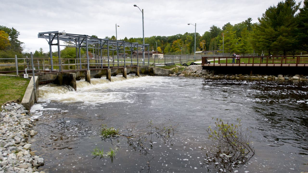 Sea lamprey barrier will protect vital Michigan egg spawning site