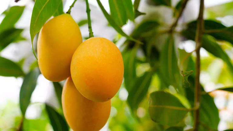 19 underrated healthy foods you should be eating more often