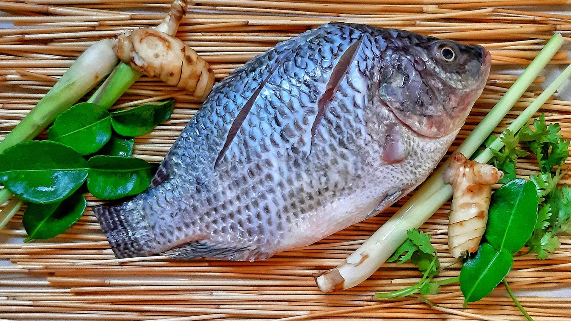 The Healthiest Fish-Ranked from Least to Most Healthy