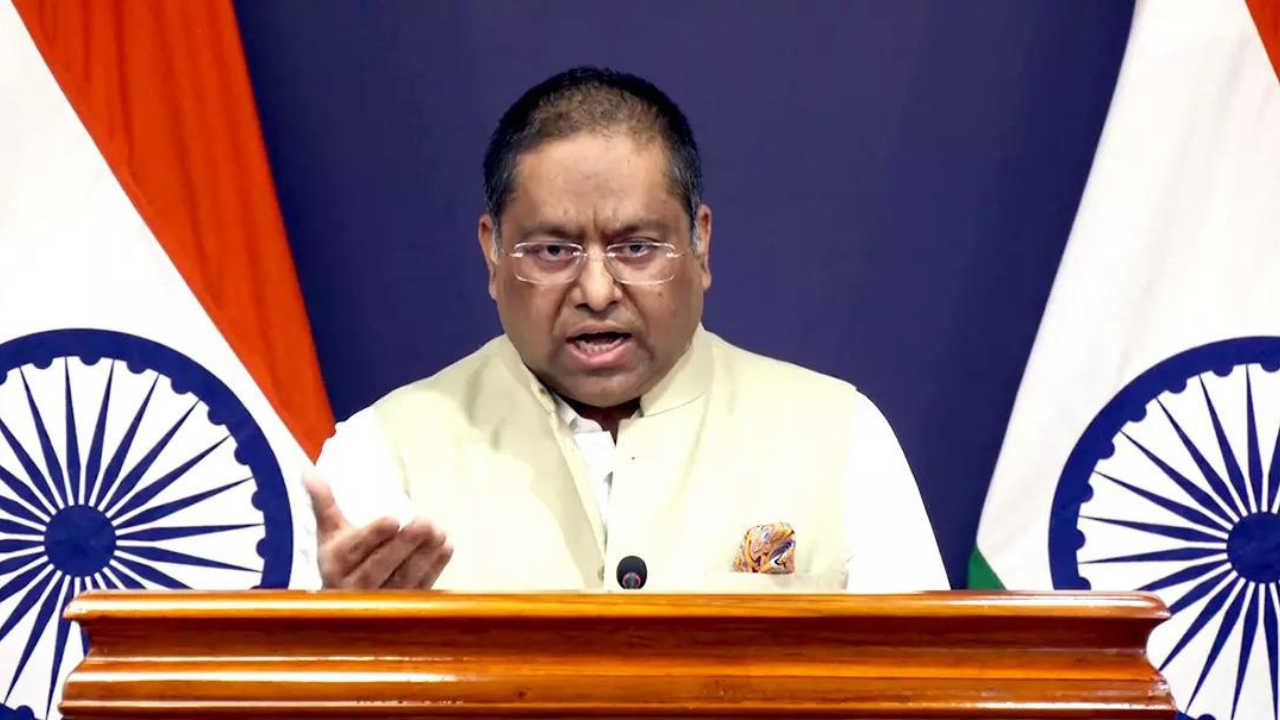 'India doesn't subscribe to unilateral sanctions': MEA on EU's move ...