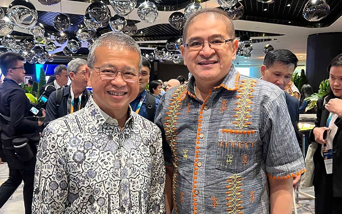 Unity in diversity: Building resilience through cohesive societies