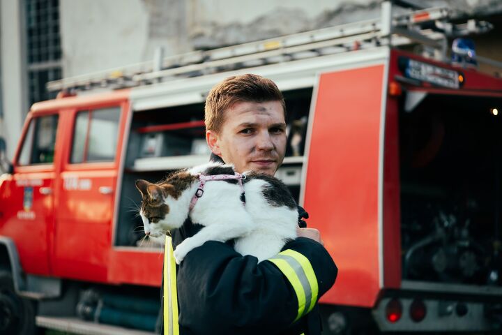 Simple Fire Safety Tips That Could Save Your Pet’s Life