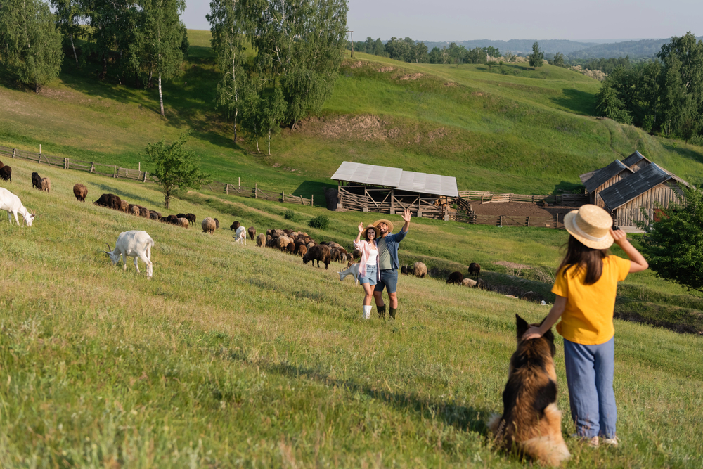 18 Farming Tricks We Don’t Use Anymore