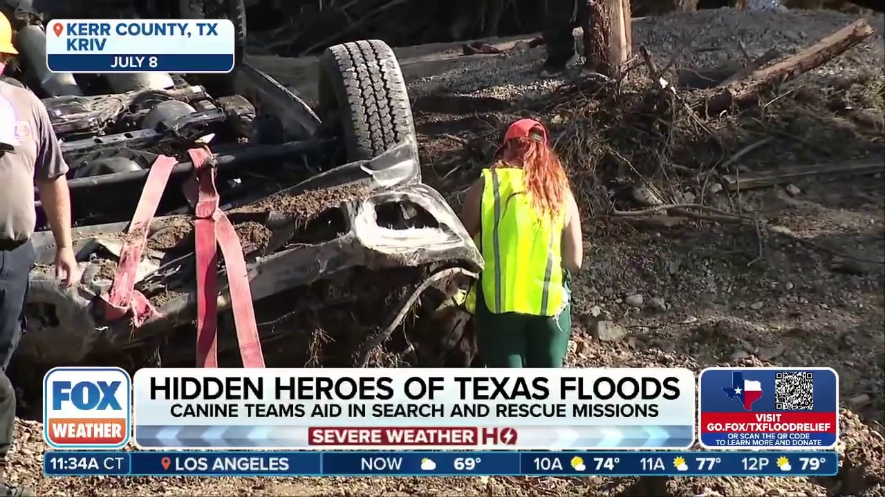 Canine teams aid in search and recovery missions in Texas