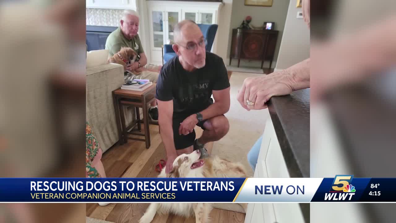 Veteran Companion Animal Services working to make impact in Greater ...